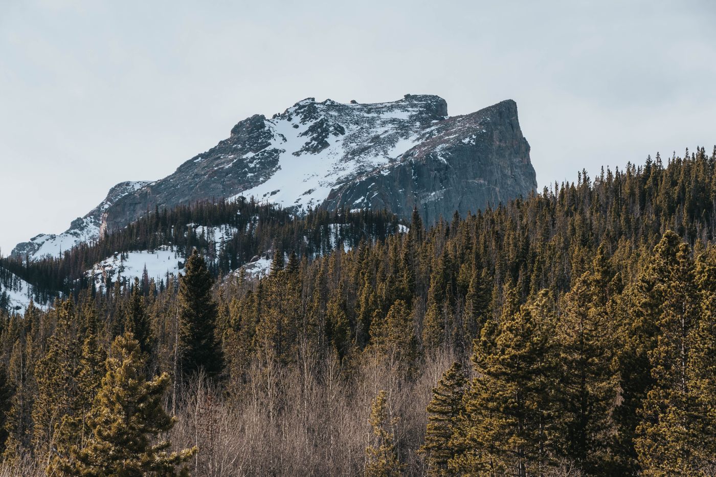 Morning View – Tribal Gate